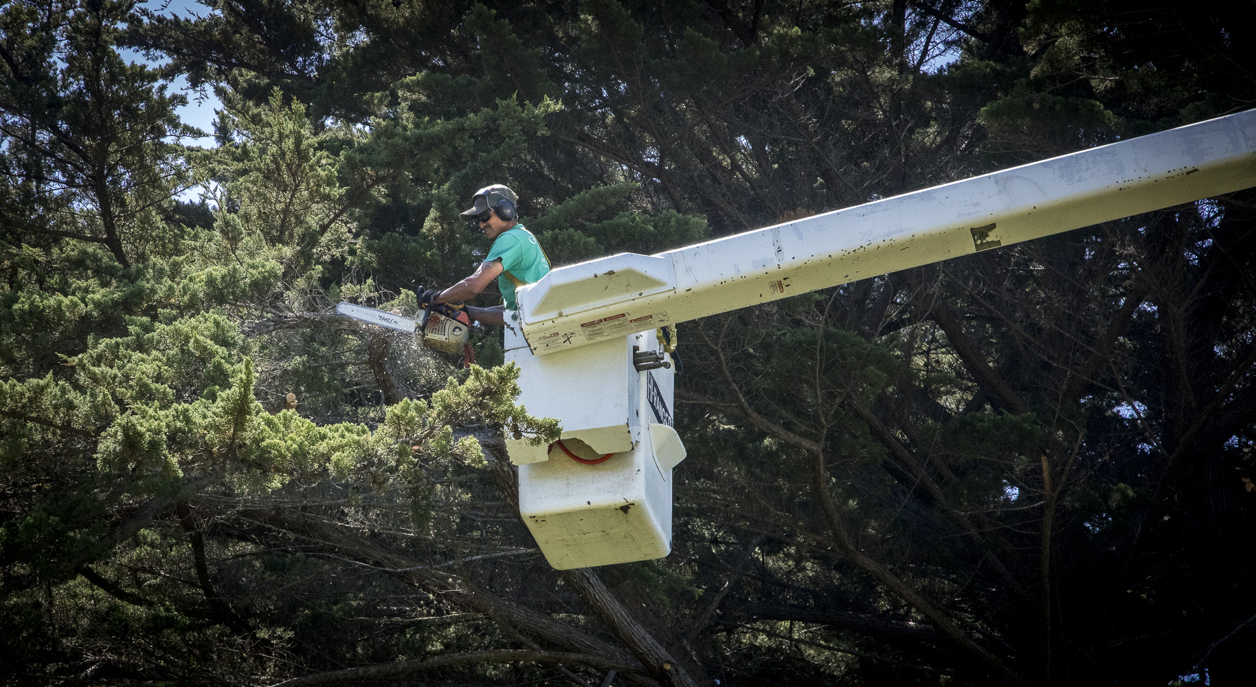 Boom Truck Work - Gonzalez Tree Service